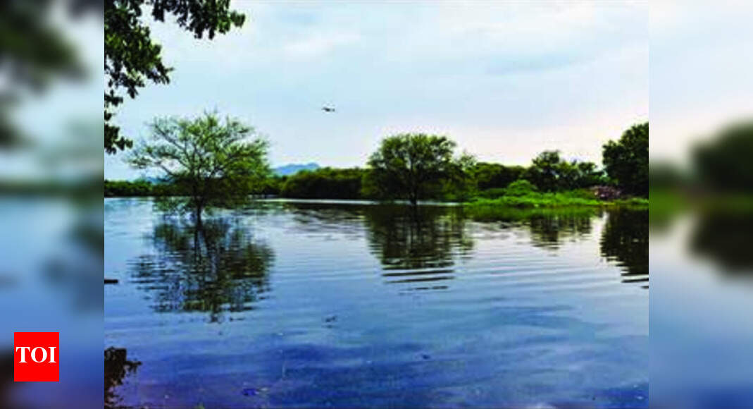 Coimbatore corporation to float 2nd tender for two lake restoration ...