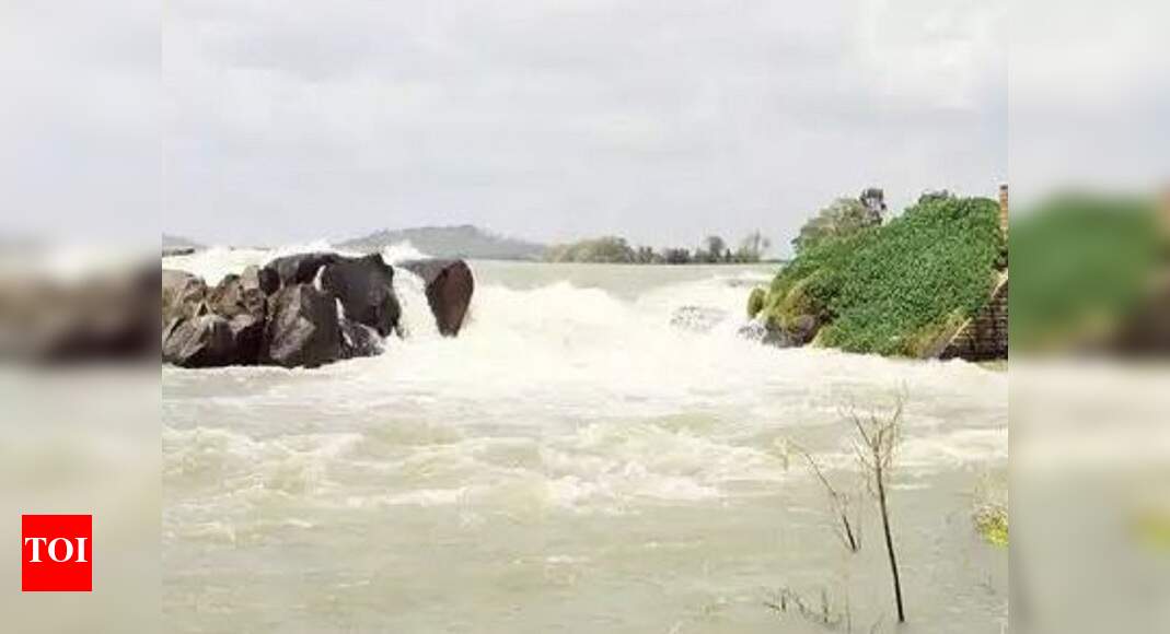 Gandhi Sagar dam water floods Chambal villages in the downstream ...