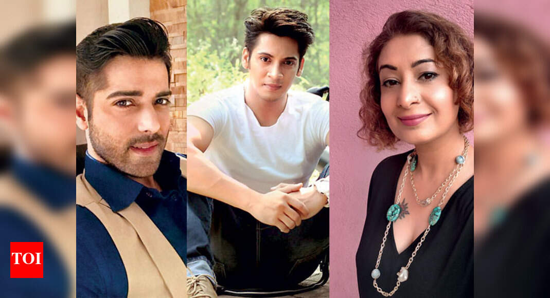 New entries in TV shows - Times of India