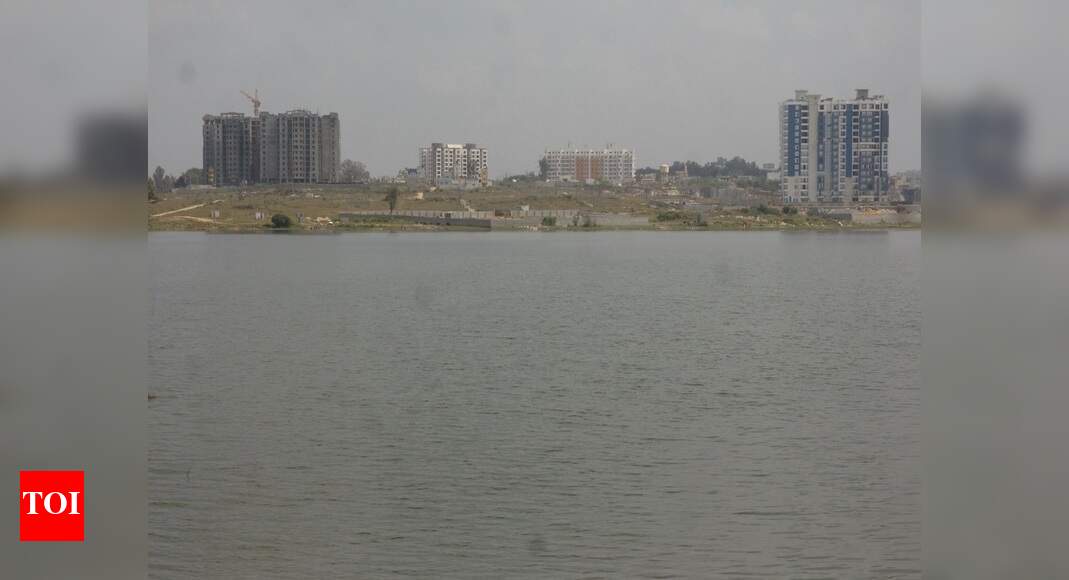 Bengaluru: Stay order on Shiva statue in Begur Lake to continue ...