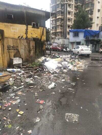 Stench which can cause dengue - Times of India