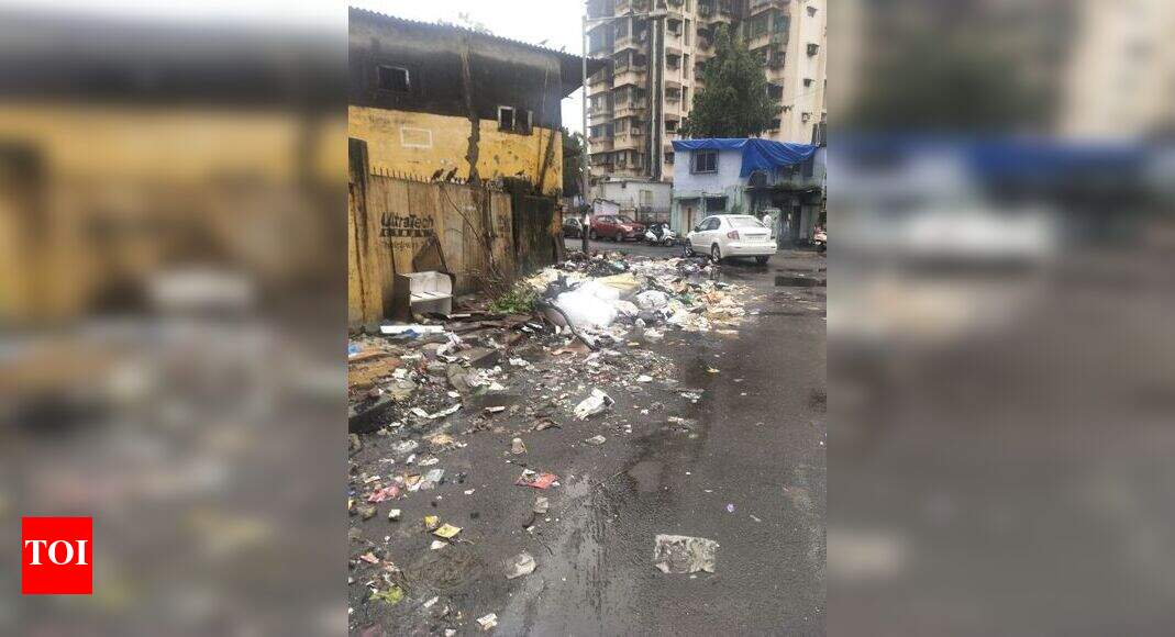 Stench which can cause dengue - Times of India