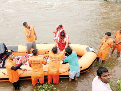 SDRF’s swift rescue operation saved many during deluge | Jaipur News ...