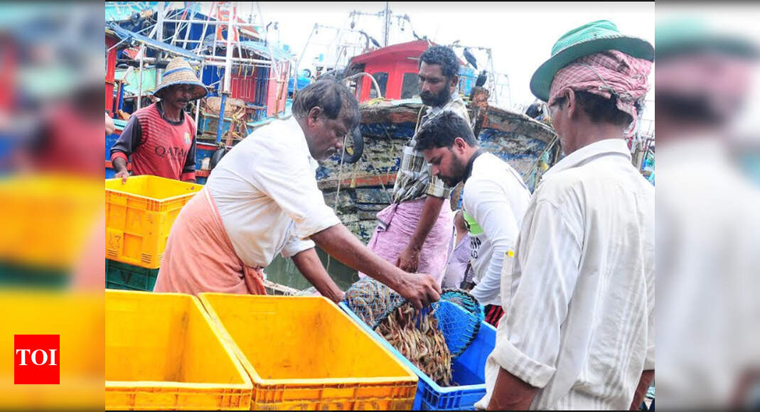 Chief Minister to inaugurate Koyilandy harbour on Tuesday | Kozhikode ...