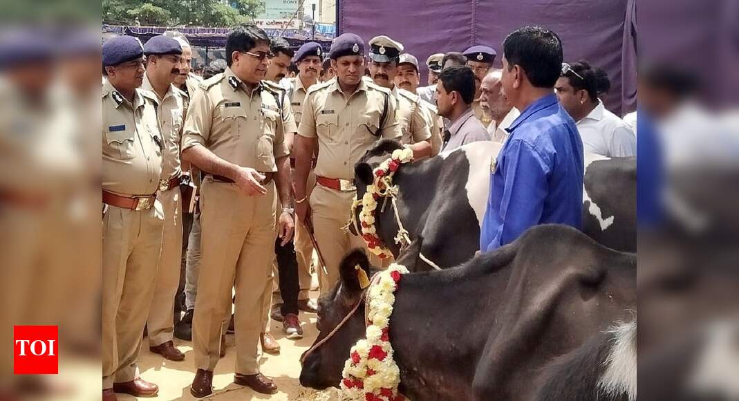 Rescued cows welcome Bengaluru top cop at police property parade ...
