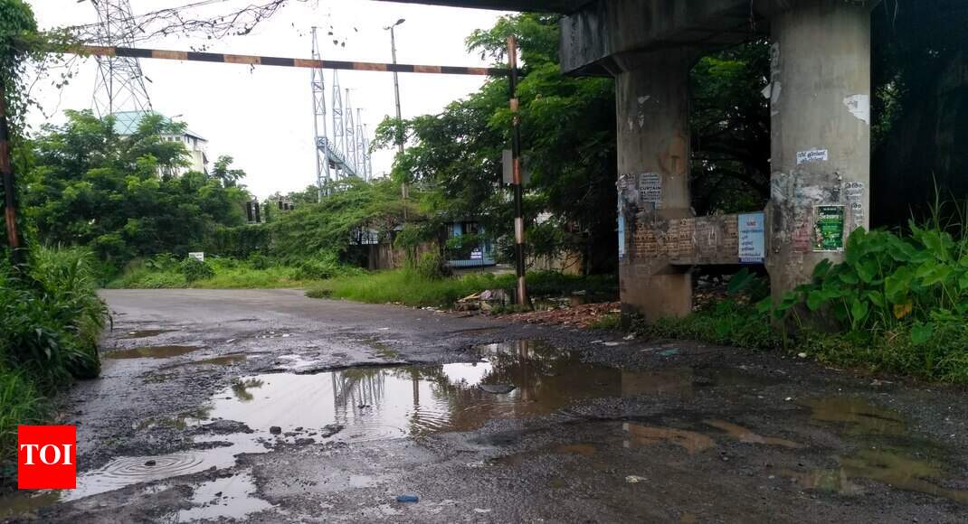 water logging and damaged road - Times of India