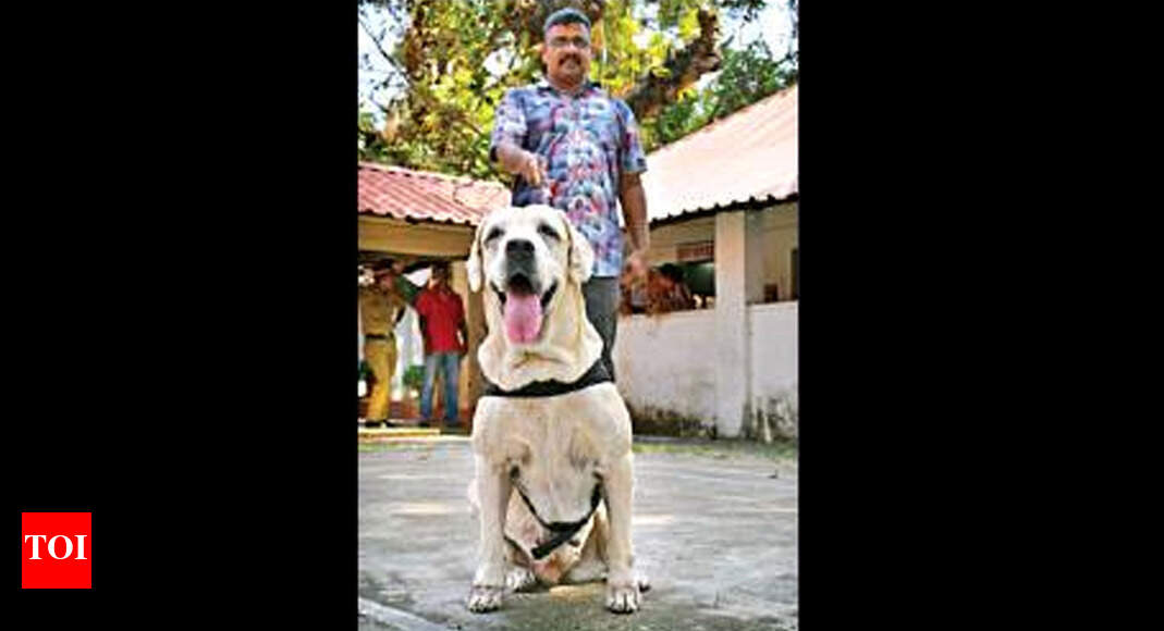 Kerala police to have a canine rescue squad | Thiruvananthapuram News ...