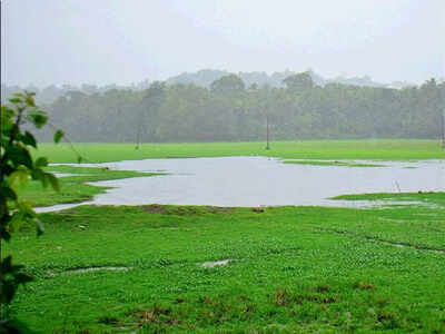 Keeping traditions alive with sustainable growth | Goa News - Times of ...