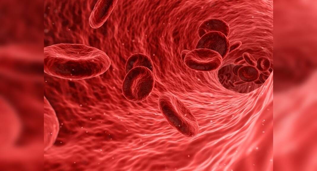 Leukemia Signs And Facts: Important facts you need to know about ...