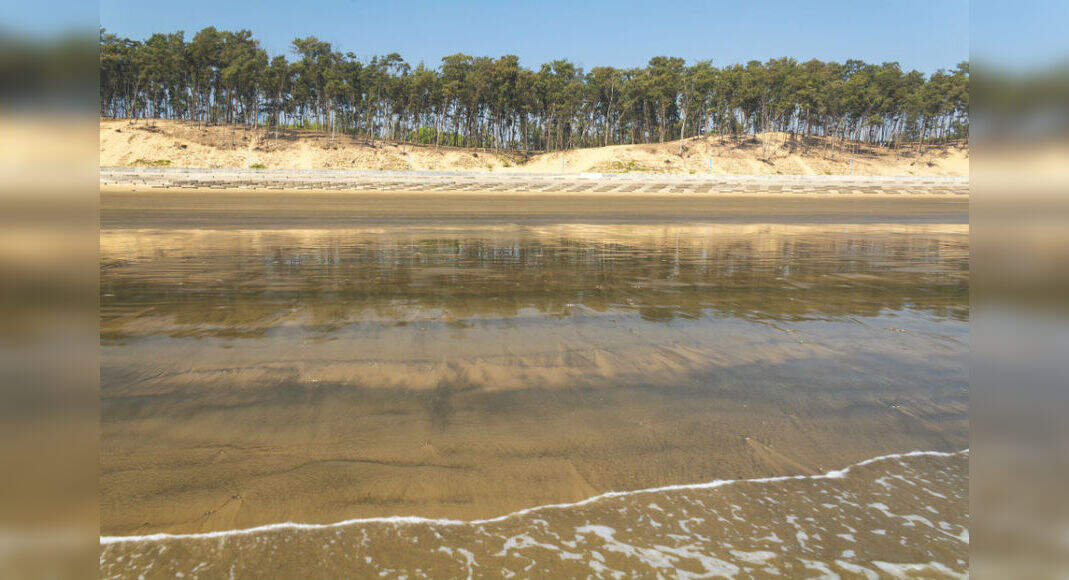 Junput in West Bengal is a perfect dreamy place for solitude seeker ...