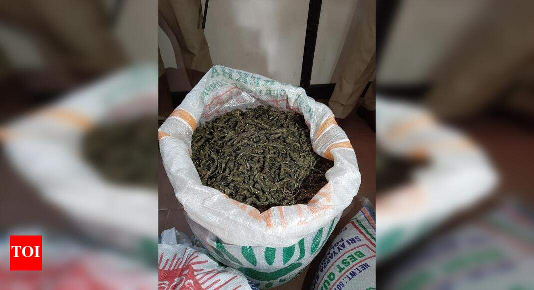 Six tonnes of ganja worth Rs 7 crore seized, two arrested ...