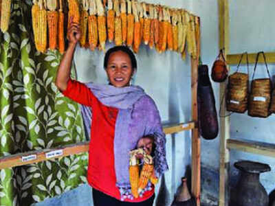 How women of Nagaland village are corralling climate change | Kohima ...