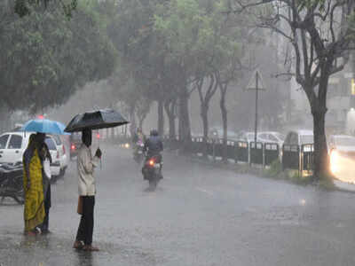 Nashik receives 200% of its annual rainfall | Nashik News - Times of India