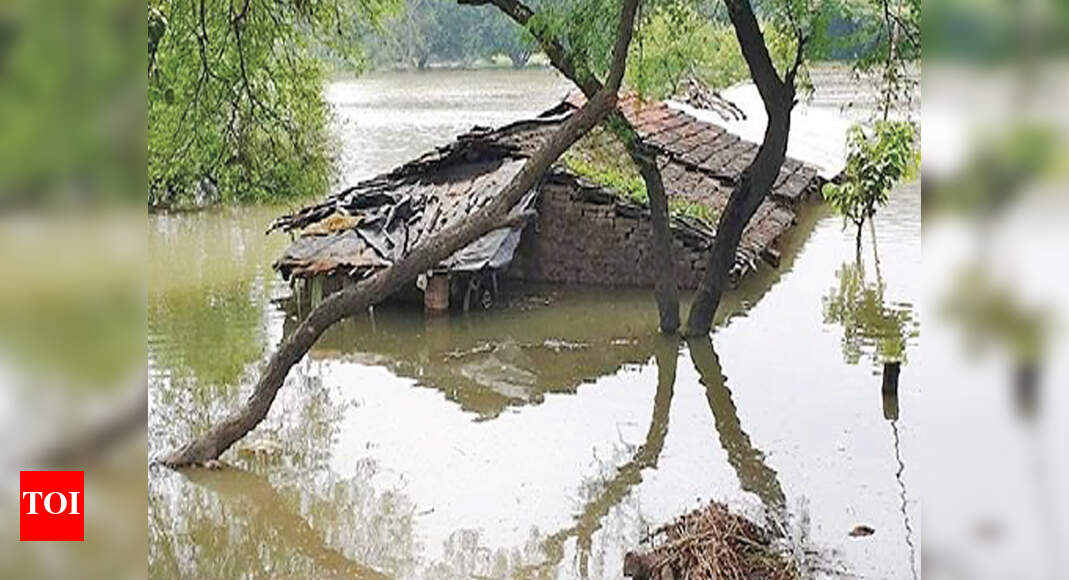 Bihar: Rain water enters houses, leaves roads inundated in many towns ...