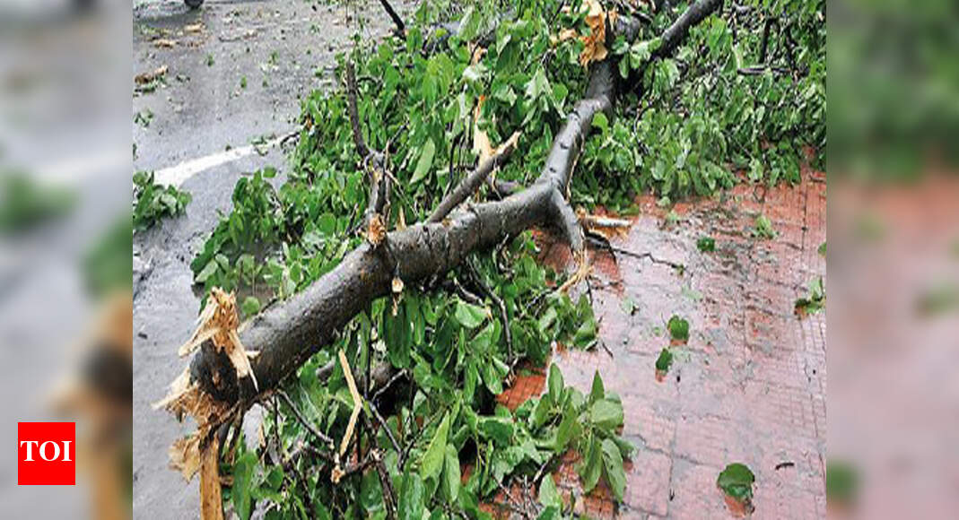 35 police stations in Patna put on alert | Patna News - Times of India