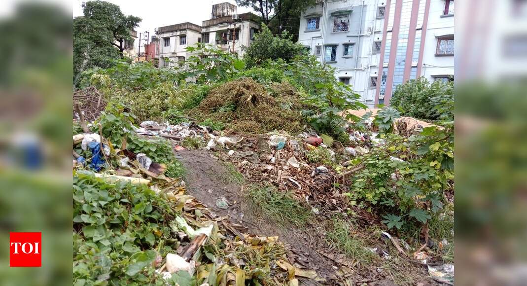 Illegal garbage dumping yard. - Times of India