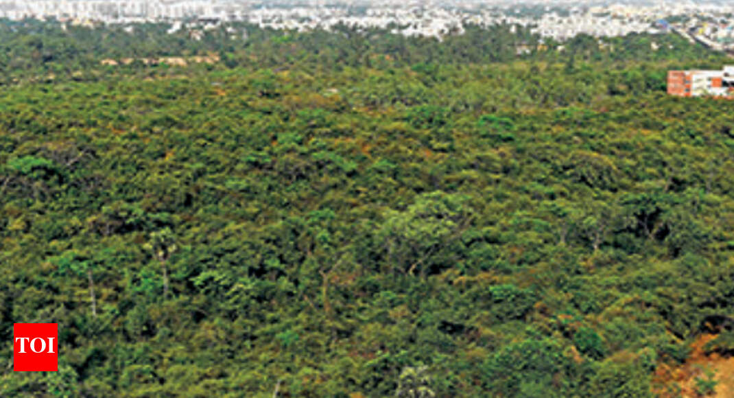 With guided trips, know Chennai's Nanmangalam forest better in a day ...