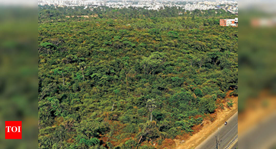 With guided trips, know Chennai's Nanmangalam forest better in a day ...