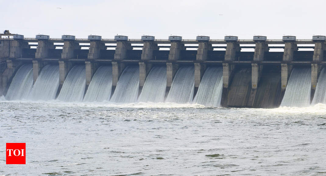 Of total 204 dams in Gujarat, 114 are overflowing | Ahmedabad News ...