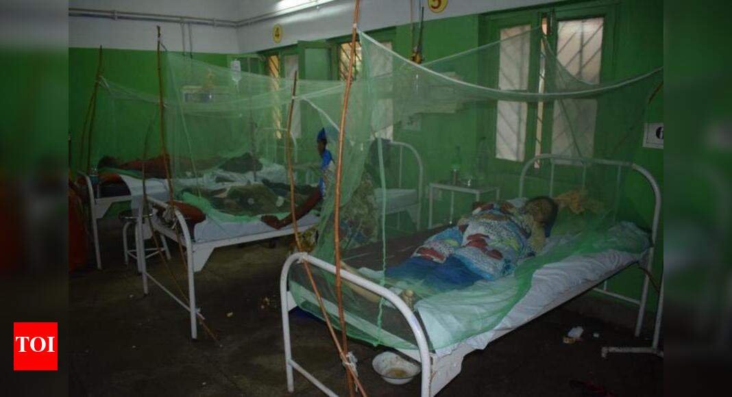 Dengue cases rise to 47 in Bareilly, officials assure there’s no threat ...