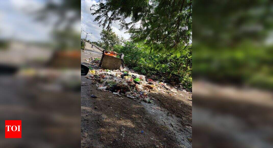 Garbage under Tilak bridge. - Times of India