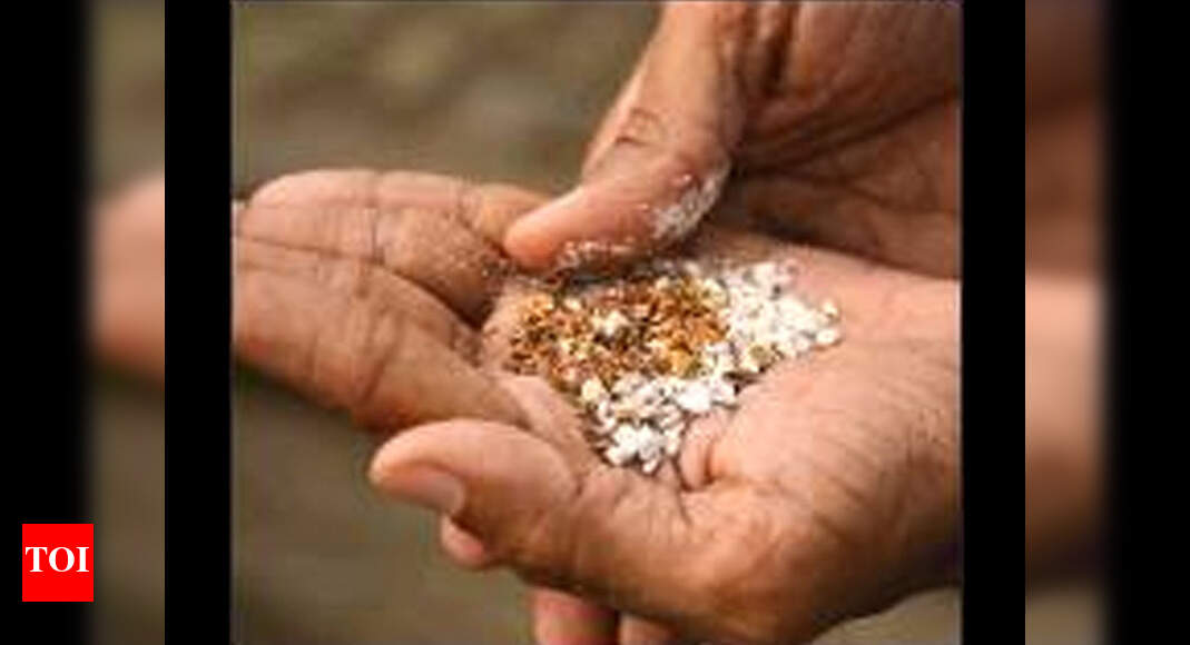 Rajasthan: Sweet supari ban is bitter blow for cottage industry ...