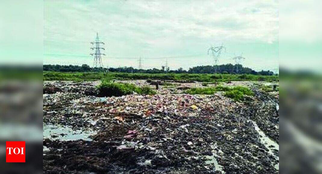 Waste dumping polluting Ranipur Rau river in Haridwar | Dehradun News ...