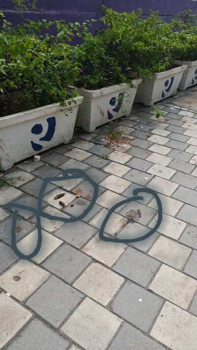 dog poop on foot path - Times of India
