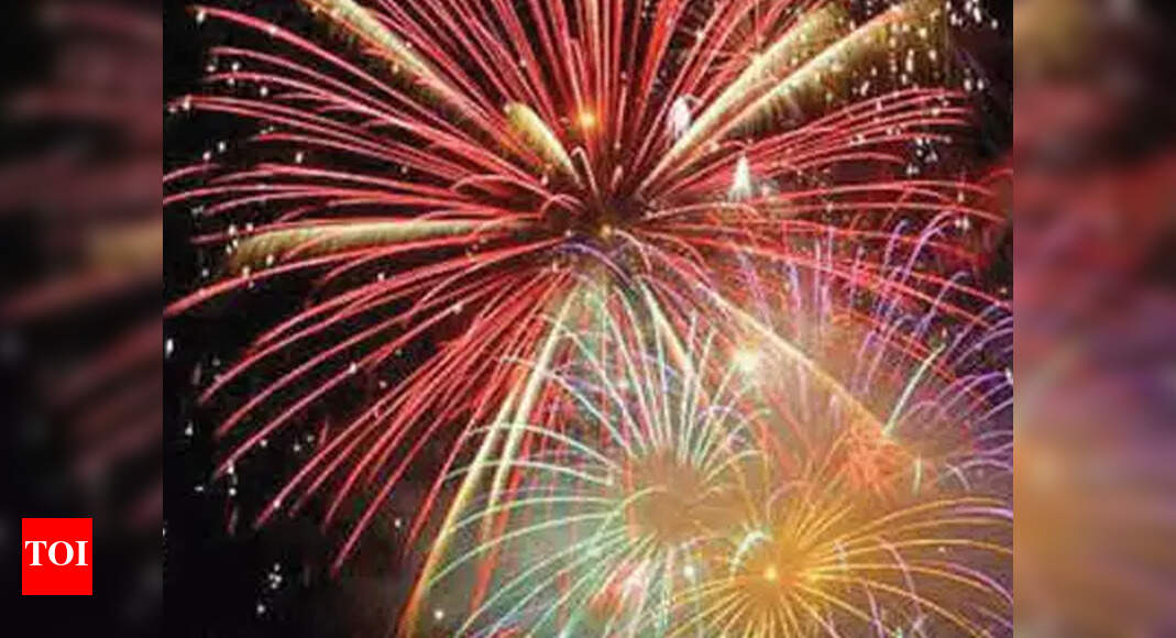 Green cracker launch official; logo, QR code to counter fakes | Delhi ...