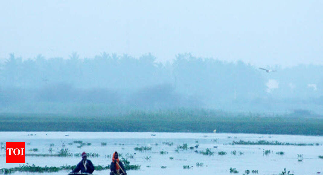 Kurichi lake may be spruced up under smart city mission | Coimbatore ...