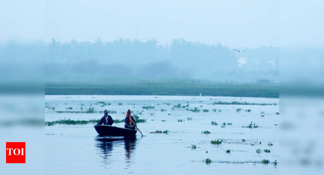 Kurichi lake may be spruced up under smart city mission | Coimbatore ...