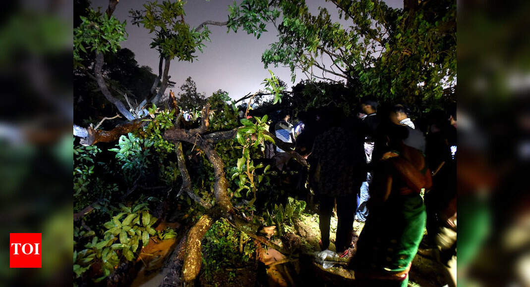 Mumbai: 2,141 trees felled so far at Aarey Colony, MMRCL to continue ...