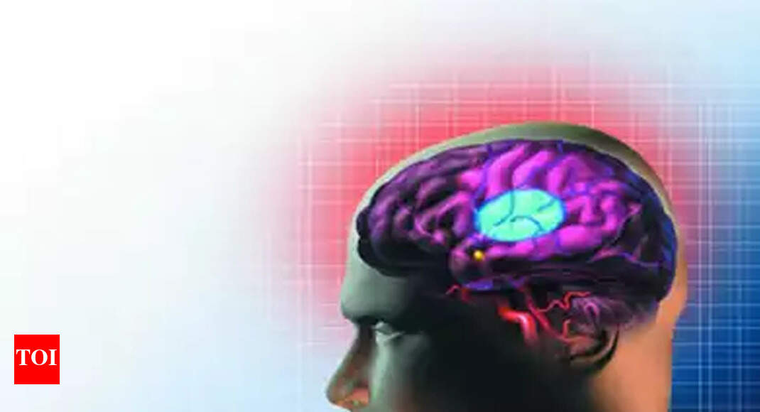Delhi: Duo dodged lie-detector test, finally nailed by brain-mapping ...