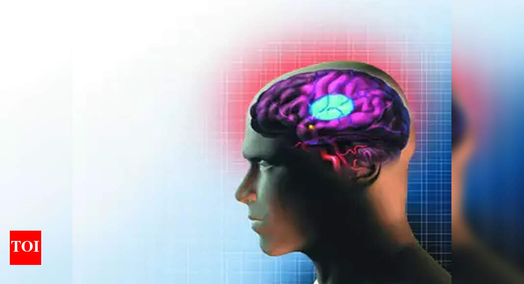 Delhi: Duo dodged lie-detector test, finally nailed by brain-mapping ...