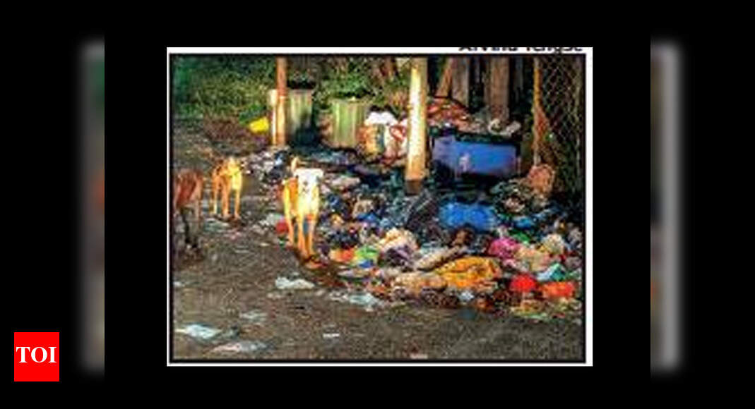 Margao Municipal Council begins night patrolling to check garbage ...