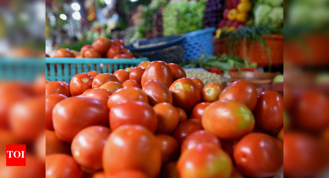 Tomato Price: Now, tomato price soar to Rs 80/kg in Delhi | India Business News - Times of India