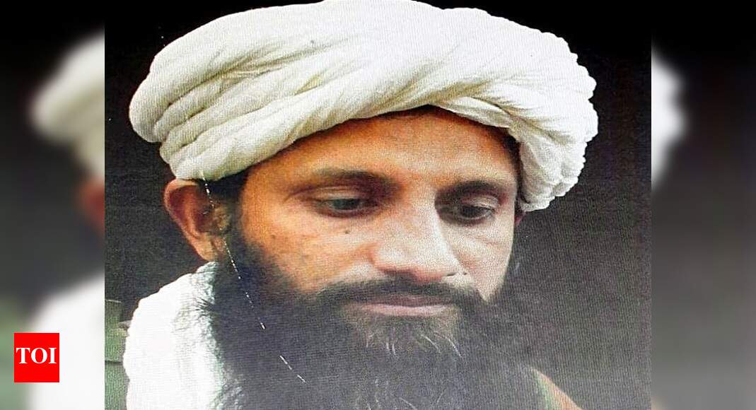 Slain head of al-Qaida in Indian Subcontinent came from a reputed ...