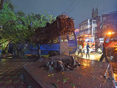 Pune fire brigade has no plan to get heavy-duty crane | Pune News ...