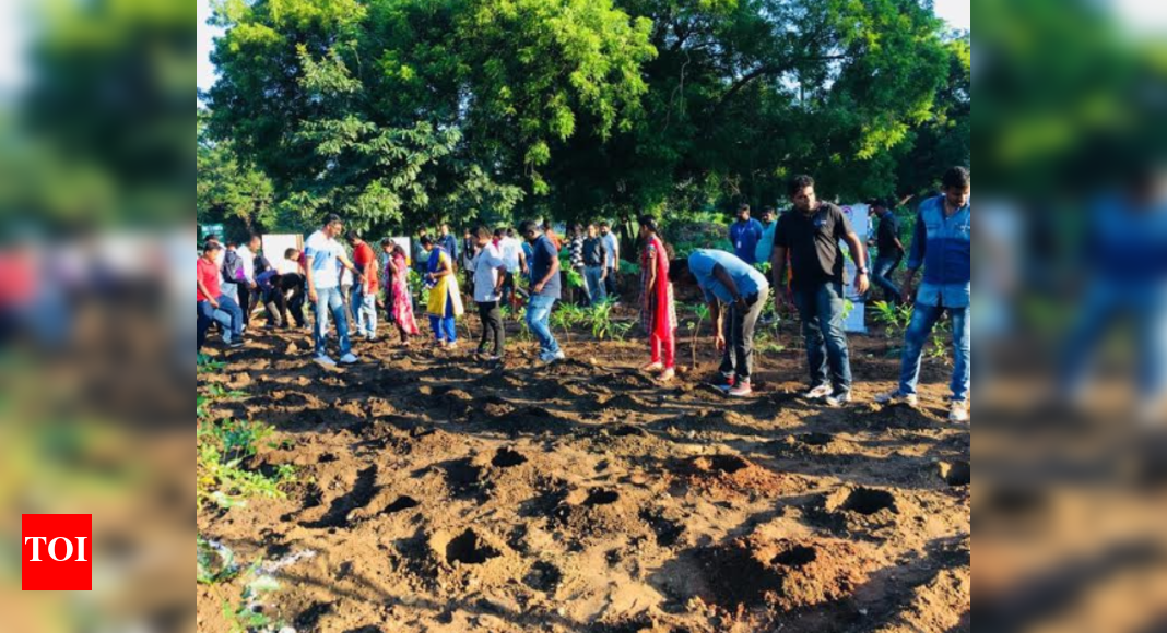 Miyawaki Method Attempted In Trichy City To Grow 180 Native Trees Trichy News Times Of India
