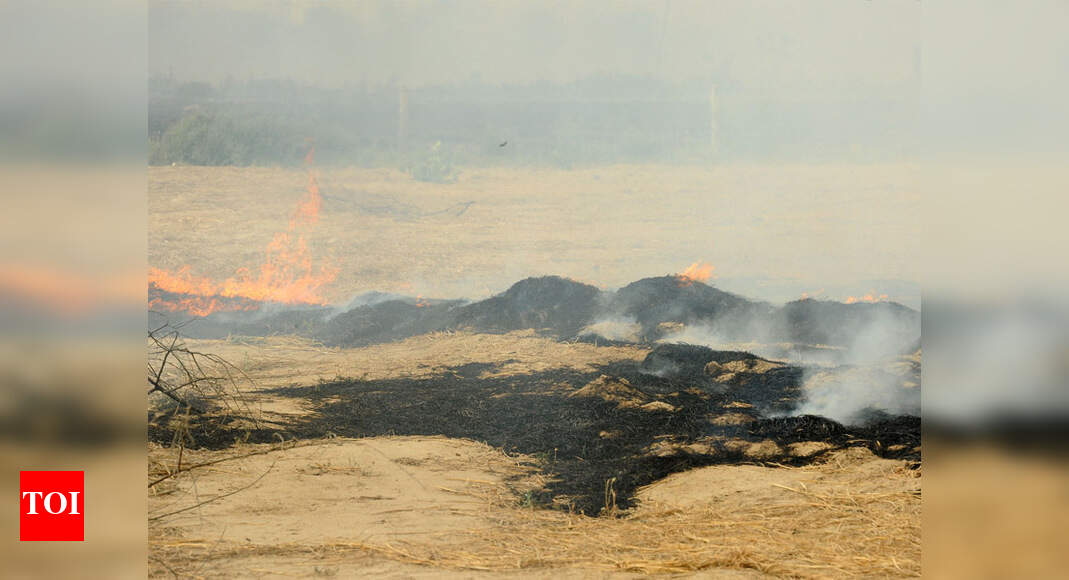 Delhi: Little impact of farm fires, but that could change; late harvest ...