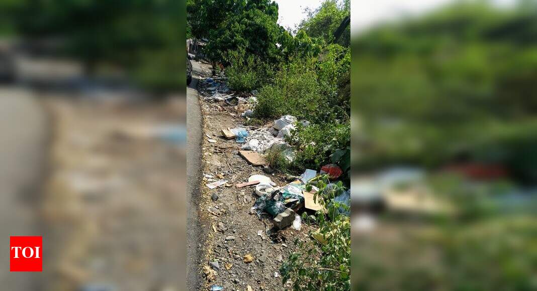 Uncleared Garbage - Pile More! - Times of India