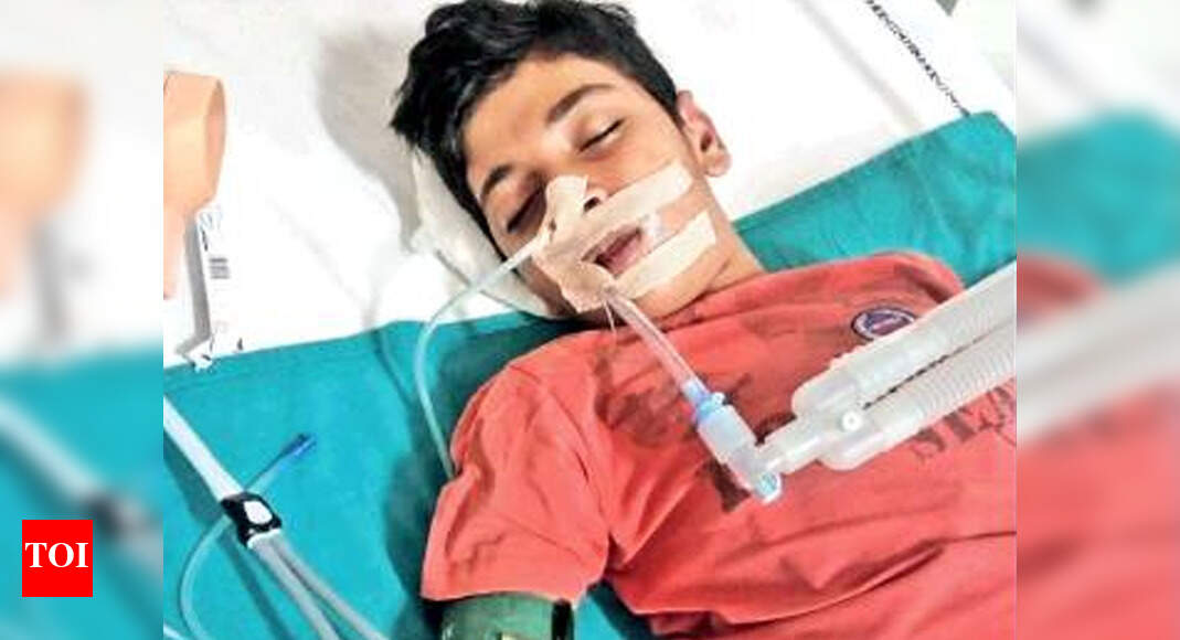 Chandigarh: Snake bites Daria boy in sleep, cobra, krait crawl inside ...