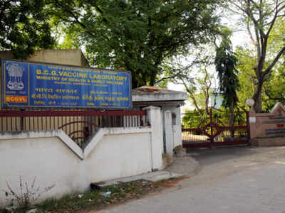 Chennai's lab to restart tuberculosis vaccine production | Chennai News ...