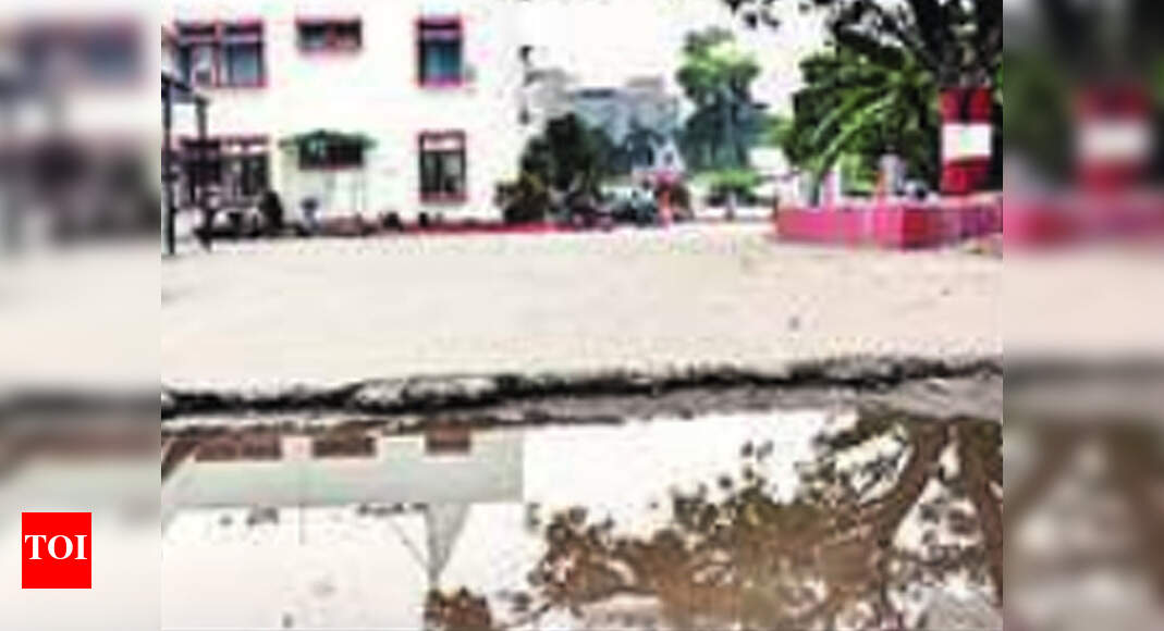 Bihar State Pollution Control Board to test water samples | Patna News ...