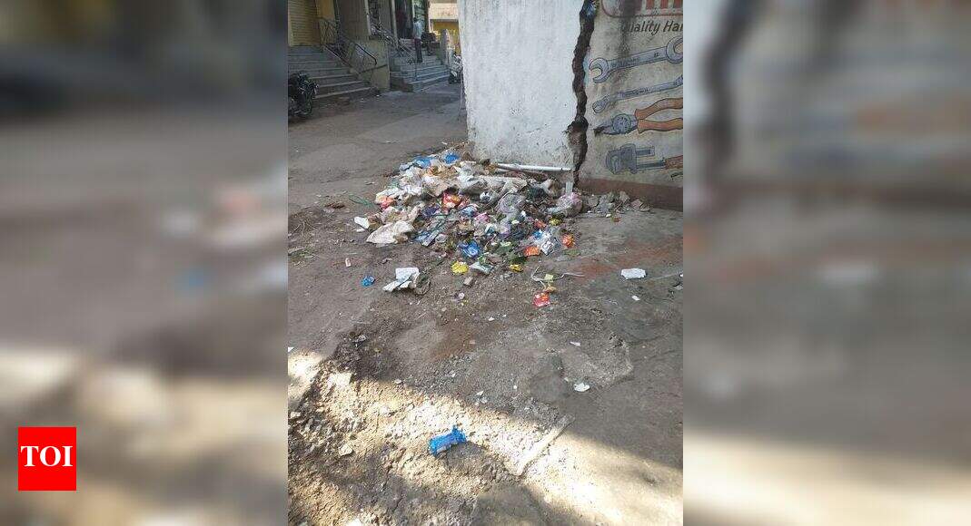 GARBAGE SPREAD OVER CAUSING UNHYGIENE AND MOSQUITO - Times of India