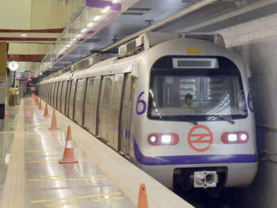 Between Rithala and Narela, DMRC to run Metrolite trains alongside ...