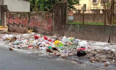 Open Dump Yard - Times of India