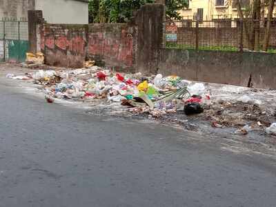 Open Dump Yard - Times of India