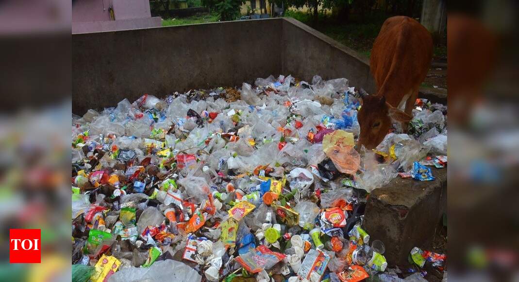 Chennai: 52kg of plastic waste removed from cow's gut | Chennai News ...