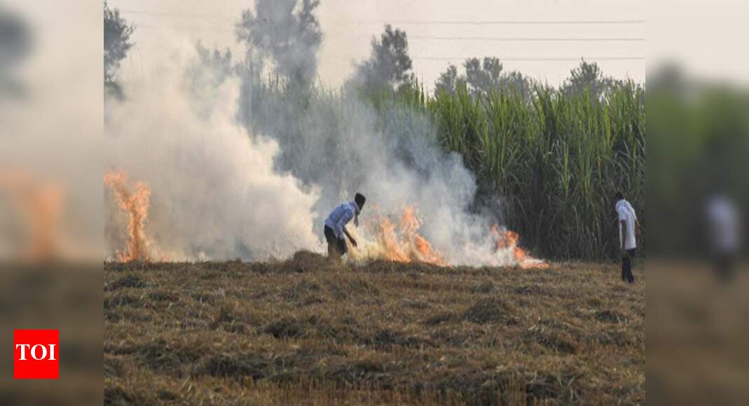 Sharp rise in Punjab-Haryana farm fires ahead of Diwali | Delhi News ...